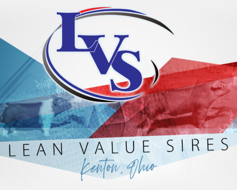 Home » Lean Value Sires